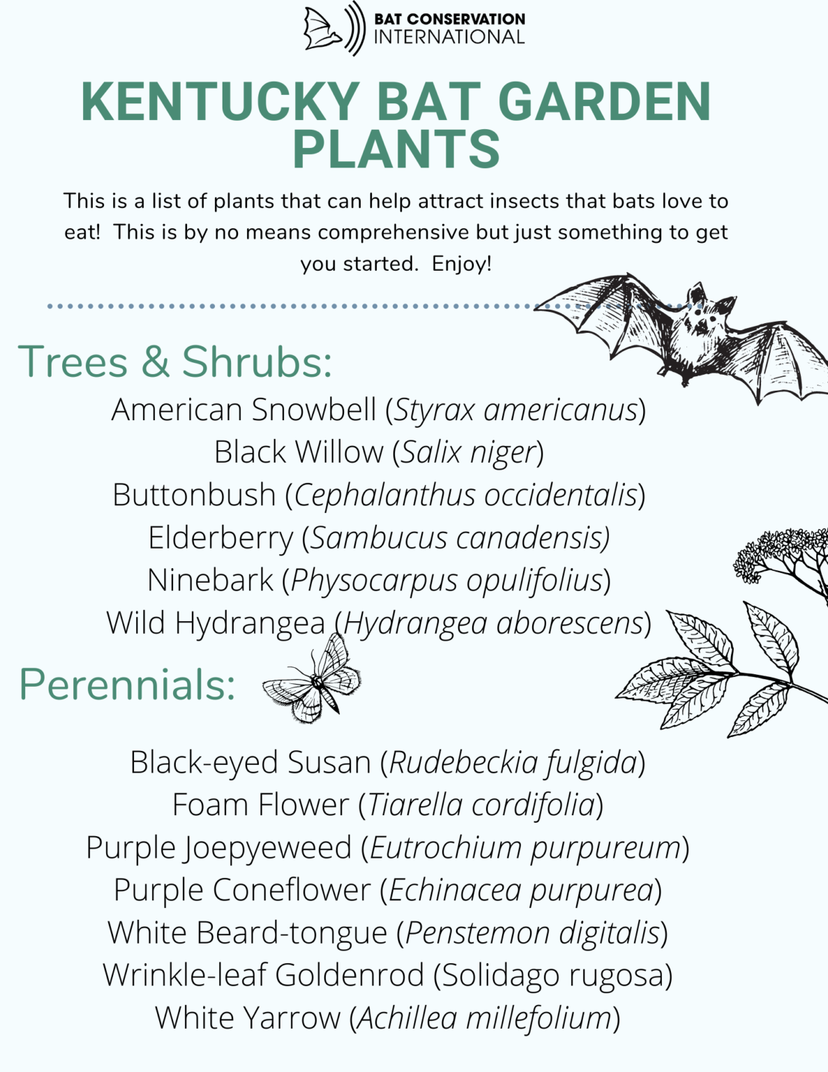 Gardening for Bats - Wild Ones Southern Kentucky Chapter